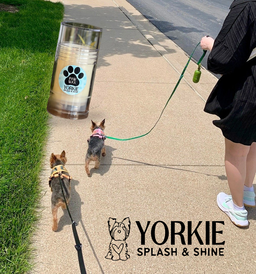 Pamper Your Pup's Paws: A Paw Balm for All Seasons – Yorkie Splash & Shine